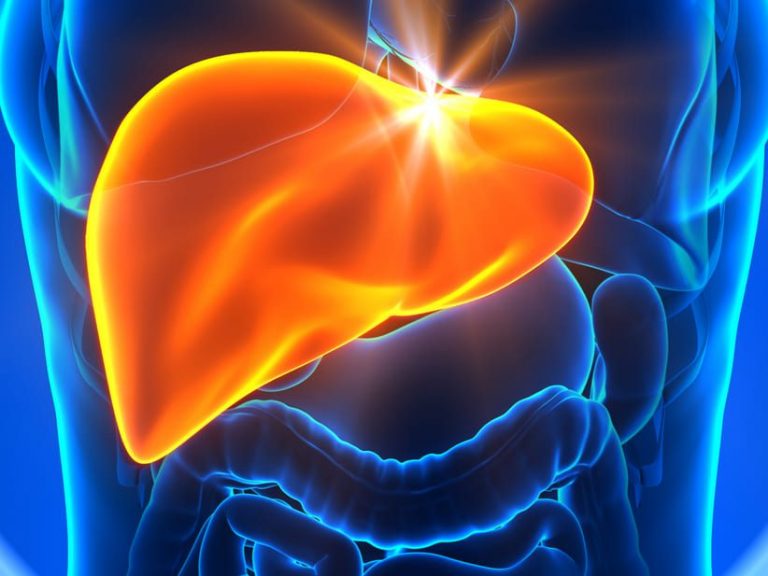 Un hígado saturado: enfermedad de hígado graso no alcohólico - Clínica ...